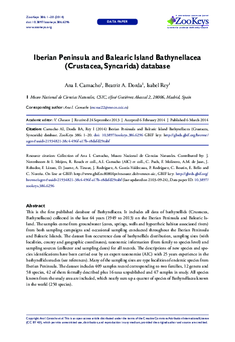 (PDF) Iberian Peninsula and Balearic Island Bathynellacea (Crustacea ...