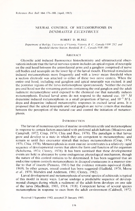 (PDF) NEURAL CONTROL OF METAMORPHOSIS IN DENDRASTER EXCENTRICUS