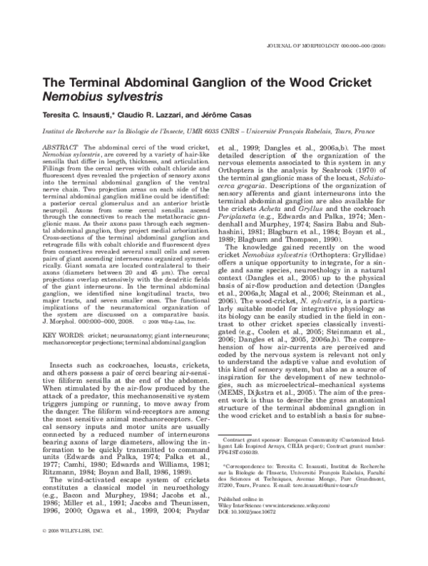 (PDF) The terminal abdominal ganglion of the wood cricket Nemobius ...