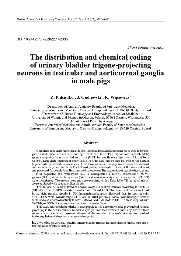 (PDF) The distribution and chemical coding of urinary bladder trigone ...