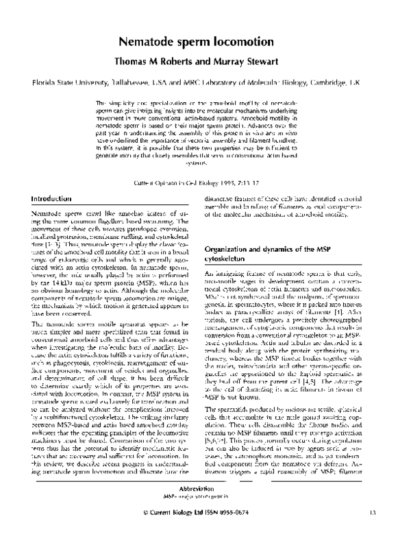 (PDF) Nematode sperm locomotion