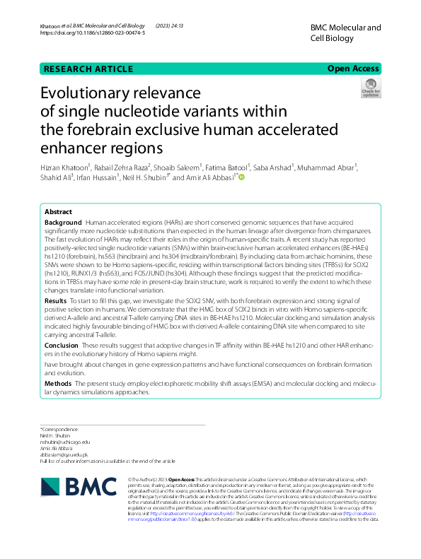 (PDF) Evolutionary relevance of single nucleotide variants within the forebrain exclusive human ...