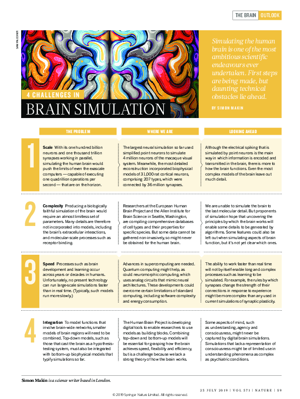 (PDF) The four biggest challenges in brain simulation