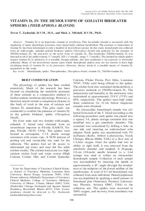 (PDF) Vitamin D3in the Hemolymph of Goliath Birdeater Spiders ...