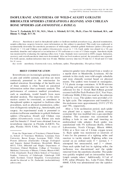 (PDF) Isoflurane Anesthesia of Wild-Caught Goliath Birdeater Spiders ...