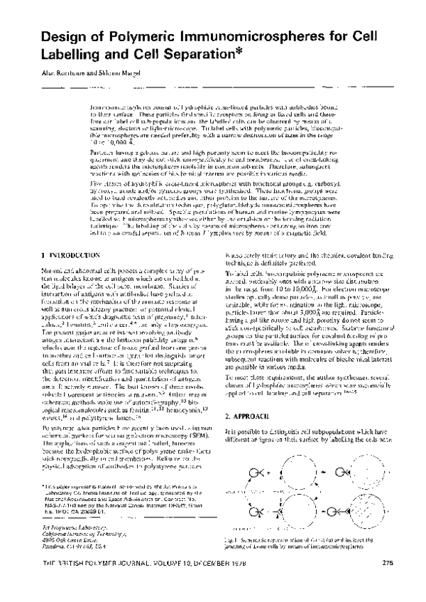 (PDF) Design of Polymeric Immunomicrospheres for Cell Labelling and ...
