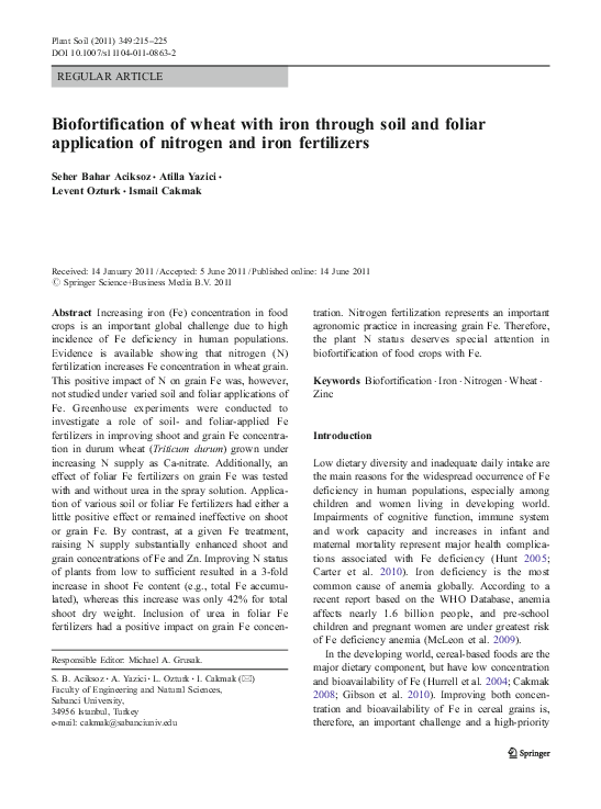 (PDF) Biofortification of wheat with iron through soil and foliar ...