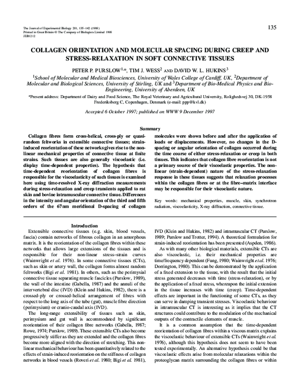(PDF) Collagen orientation and molecular spacing during creep and ...