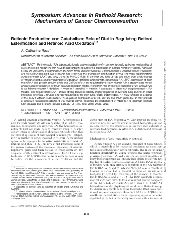 (PDF) Retinoid Production and Catabolism: Role of Diet in Regulating ...