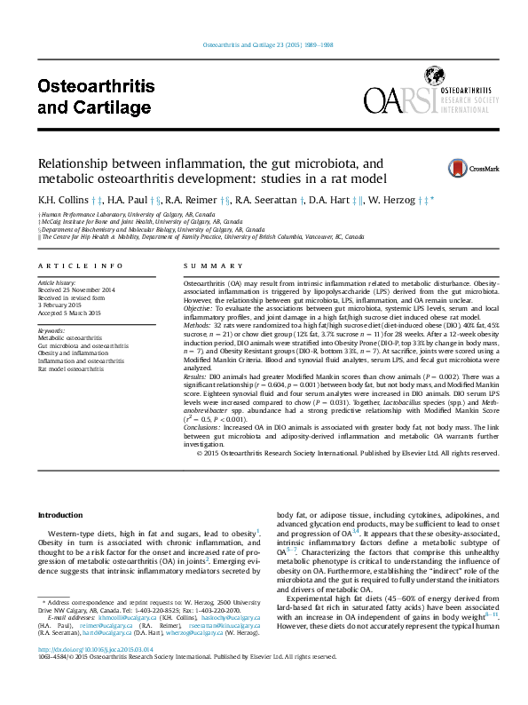 (PDF) Relationship between inflammation, the gut microbiota, and metabolic osteoarthritis ...