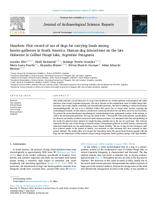 (PDF) Huachen: First record of use of dogs for carrying loads among ...
