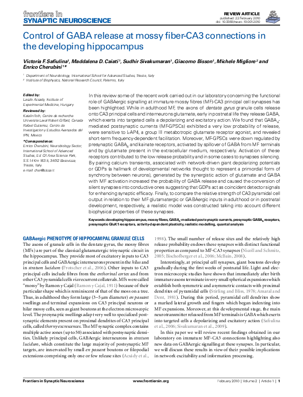(PDF) Control of GABA Release at Mossy Fiber-CA3 Connections in the ...