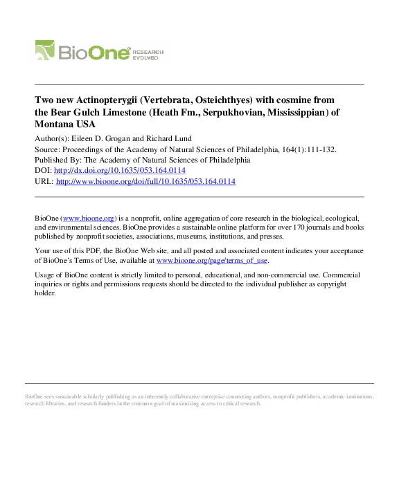 (PDF) Two new Actinopterygii (Vertebrata, Osteichthyes) with cosmine ...