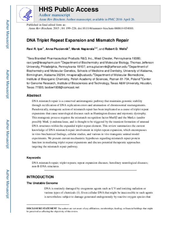 (PDF) DNA Triplet Repeat Expansion and Mismatch Repair