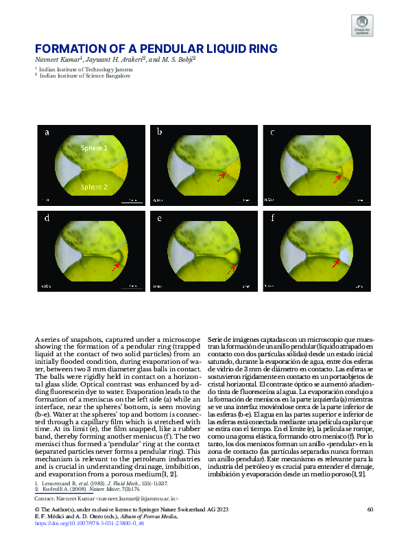 (PDF) Formation of a Pendular Liquid Ring