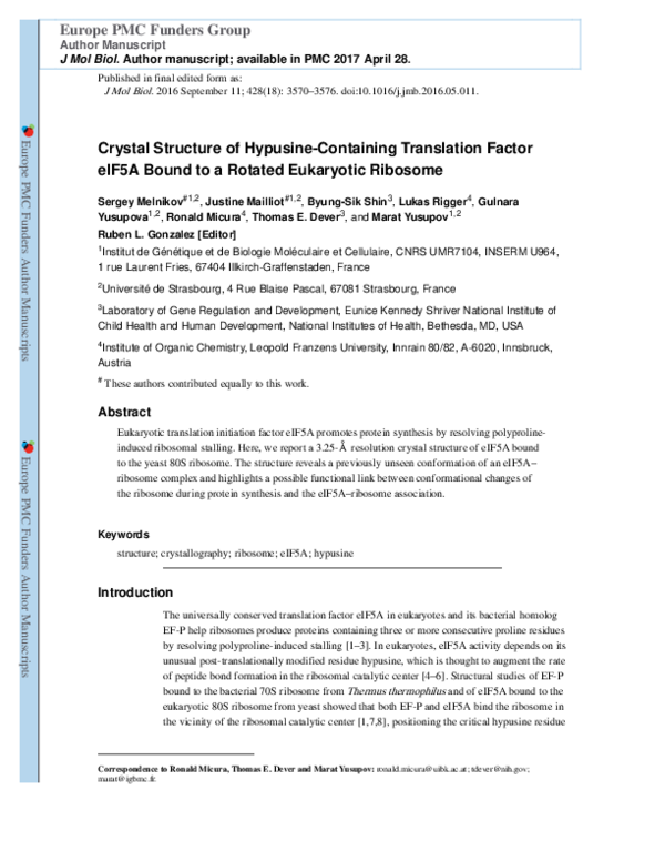 (PDF) Crystal Structure of Hypusine-Containing Translation Factor eIF5A ...