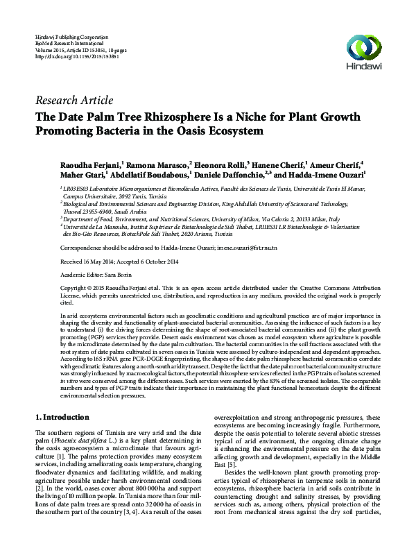 (PDF) The date palm tree rhizosphere is a niche for plant growth ...