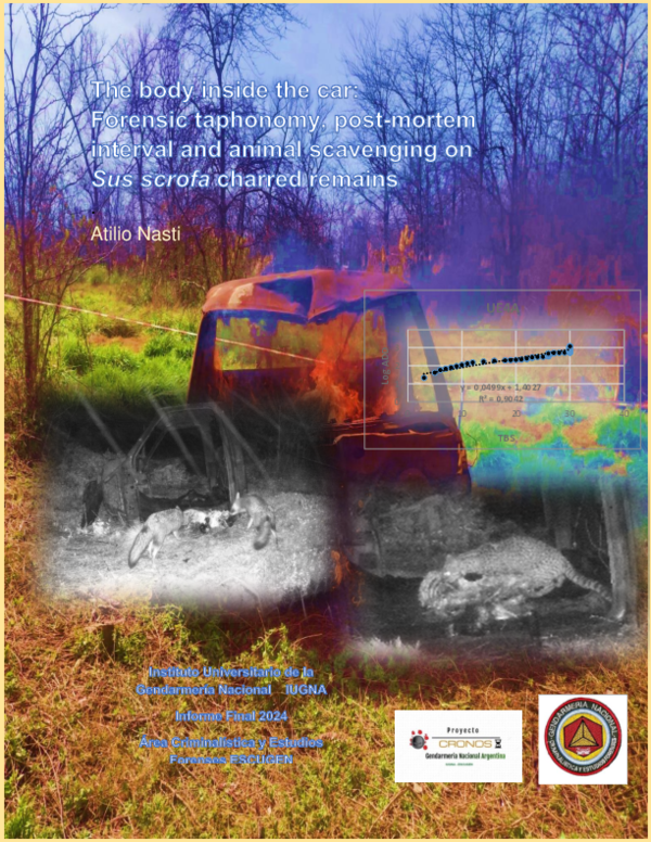 (PDF) The body inside the car: Forensic taphonomy, post mortem interval ...