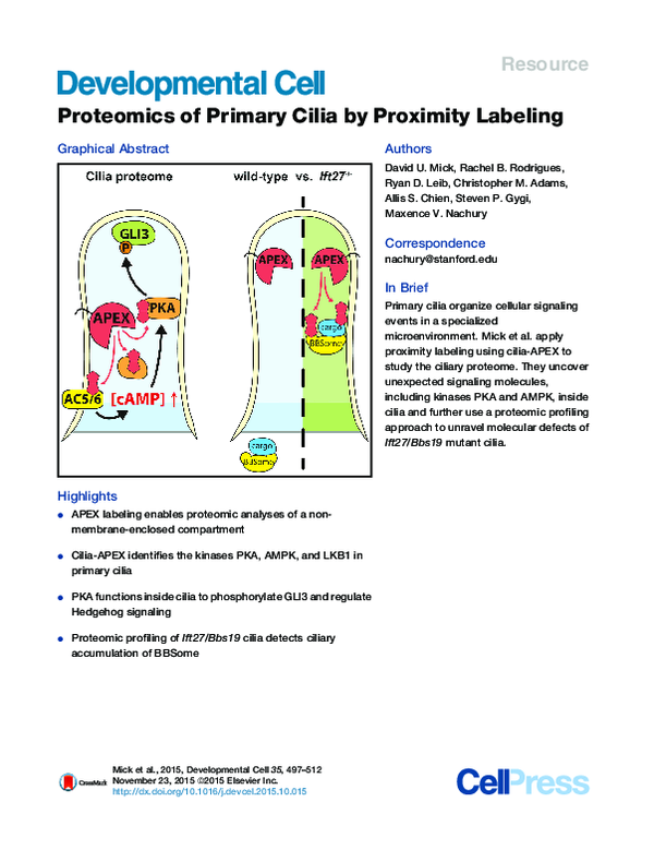 (PDF) Proteomics of Primary Cilia by Proximity Labeling