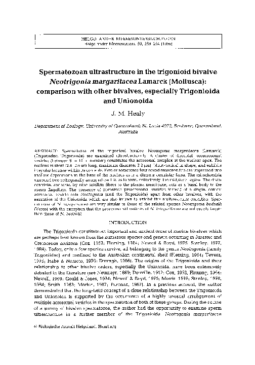 (PDF) Spermatozoan ultrastructure in the trigonioid bivalveNeotrigonia ...