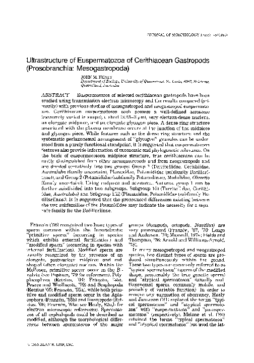 (PDF) Ultrastructure of Euspermatozoa of cerithiacean gastropods ...