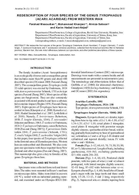 (PDF) REDESCRIPTION OF FOUR SPECIES OF THE GENUS TYROPHAGUS (ACARI ...