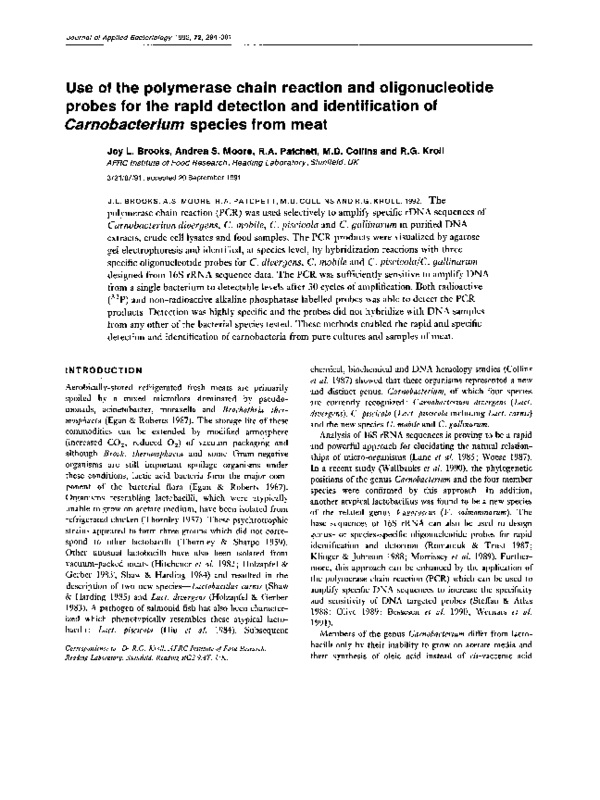 (PDF) Use of the polymerase chain reaction and oligonucleotide probes ...