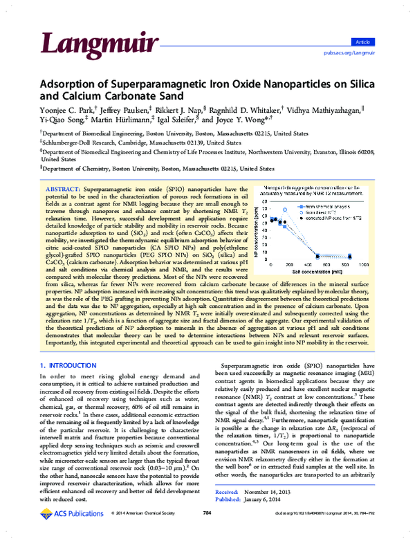 (PDF) Adsorption of Superparamagnetic Iron Oxide Nanoparticles on ...