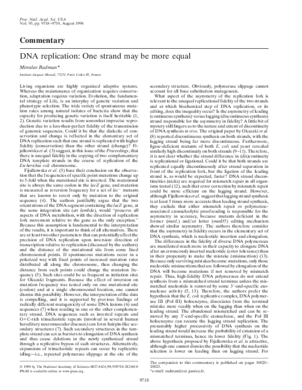 (PDF) DNA replication: One strand may be more equal