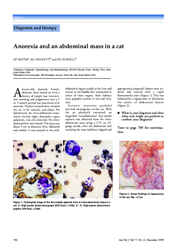 (PDF) Anorexia and an abdominal mass in a cat