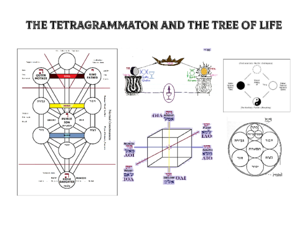 (PDF) Tetra-Tree