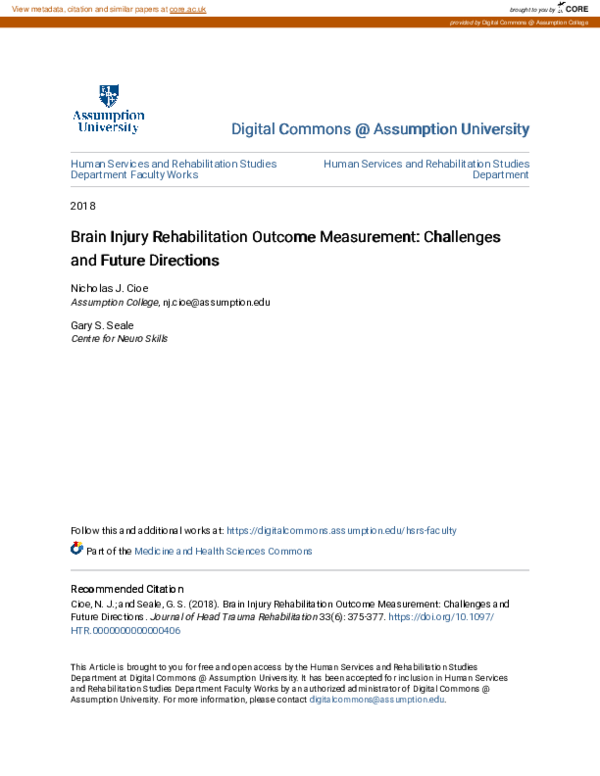 (PDF) Brain Injury Rehabilitation Outcome Measurement
