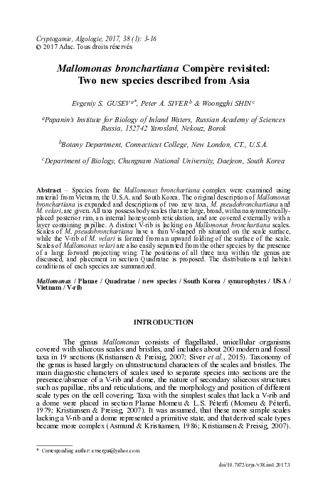 (PDF) Mallomonas bronchartiana Compère Revisited: Two New Species ...