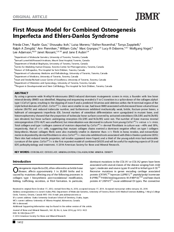 (PDF) First Mouse Model for Combined Osteogenesis Imperfecta and Ehlers ...