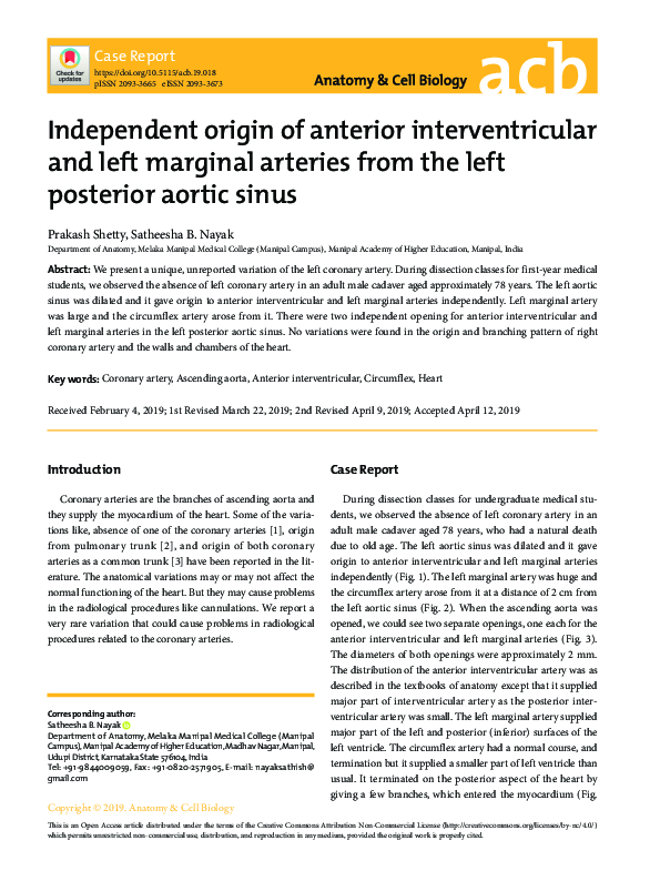 (PDF) Independent origin of anterior interventricular and left marginal ...