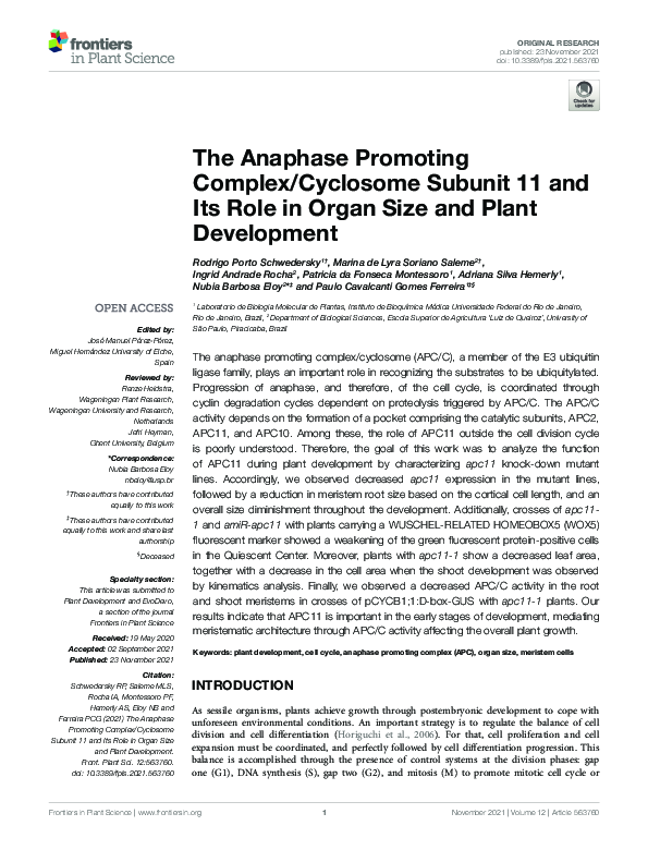 (PDF) The Anaphase Promoting Complex/Cyclosome Subunit 11 and Its Role ...