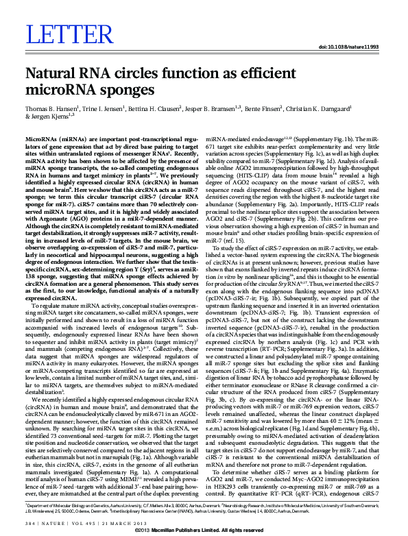 (PDF) Natural RNA circles function as efficient microRNA sponges