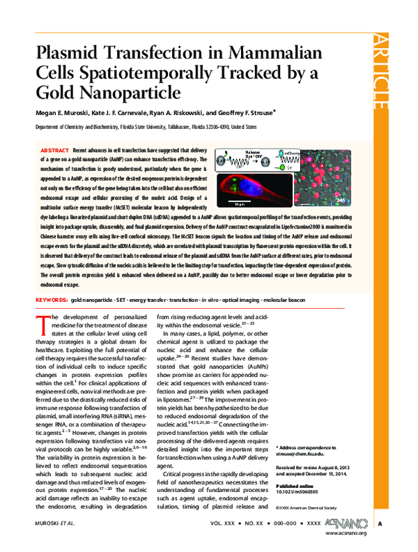 (PDF) Plasmid Transfection in Mammalian Cells Spatiotemporally Tracked ...