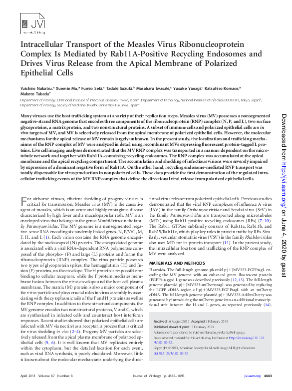 (PDF) Intracellular Transport of the Measles Virus Ribonucleoprotein ...