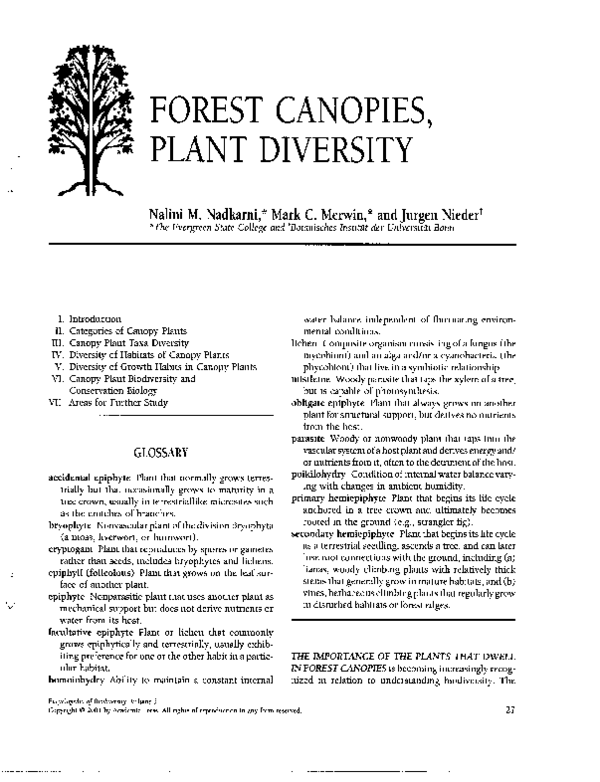 (PDF) Forest Canopies, Plant Diversity