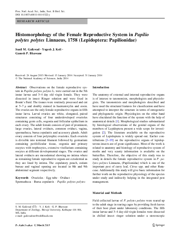 (PDF) Histomorphology of the Female Reproductive System in Papilio ...