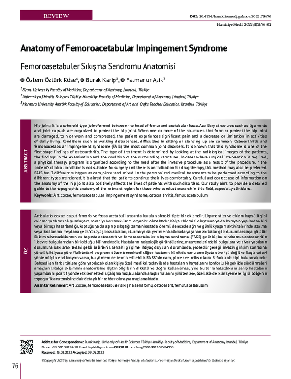 (PDF) Anatomy of Femoroacetabular Impingement Syndrome