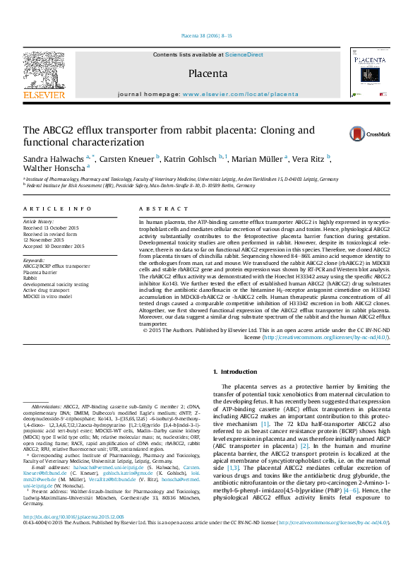 (PDF) The ABCG2 efflux transporter from rabbit placenta: Cloning and ...