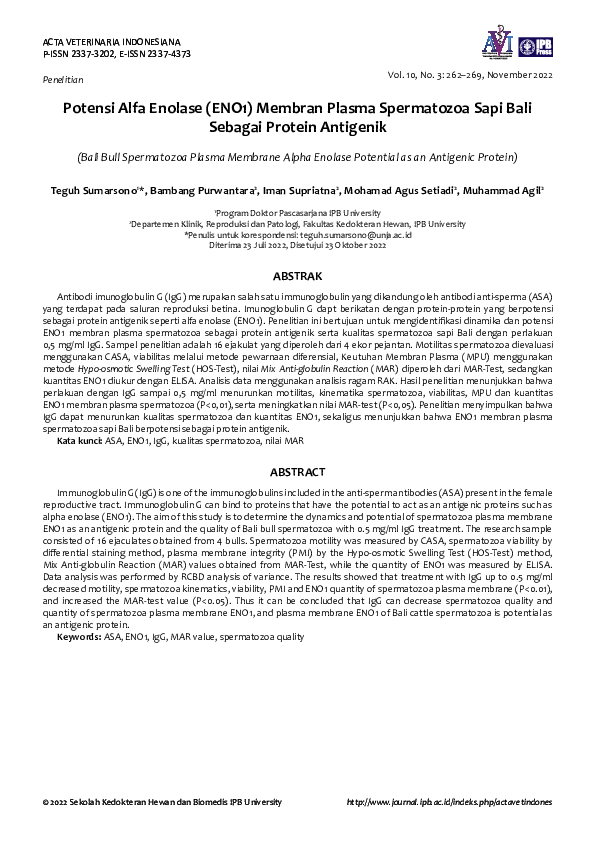 (PDF) Potensi Alfa Enolase (ENO1) Membran Plasma Spermatozoa Sapi Bali ...
