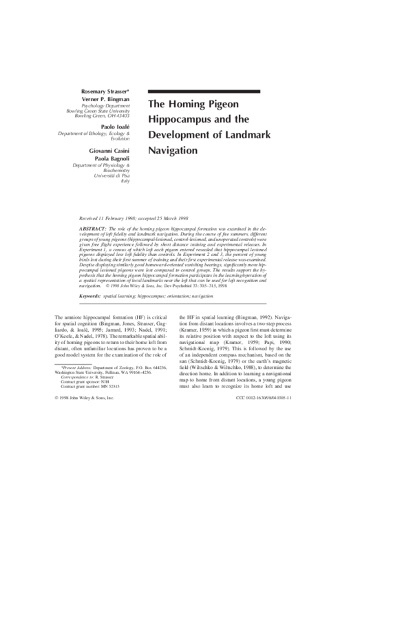 (PDF) The homing pigeon hippocampus and the development of landmark ...