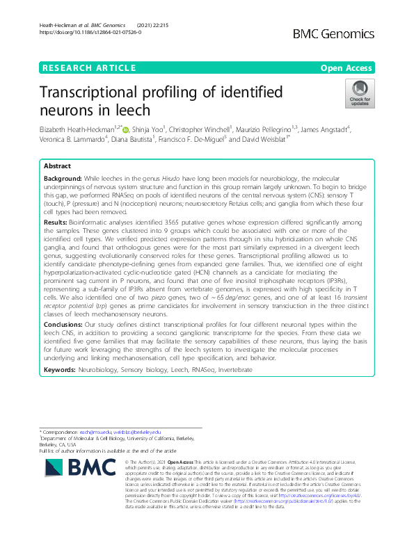 (PDF) Transcriptional profiling of identified neurons in leech