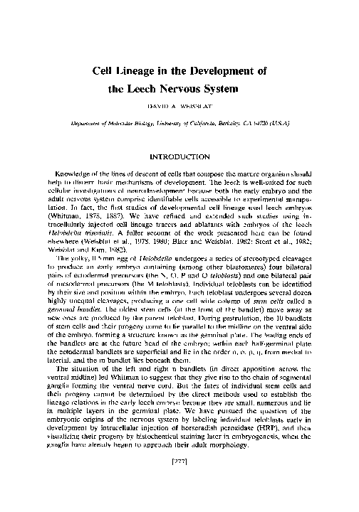 (PDF) Cell lineage in the development of the leech nervous system