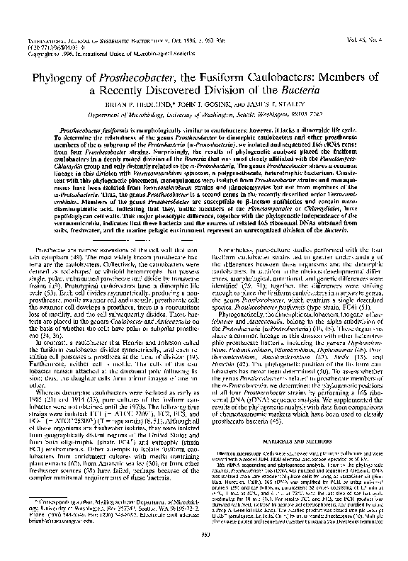 (PDF) Phylogeny of Prosthecobacter, the Fusiform Caulobacters: Members ...
