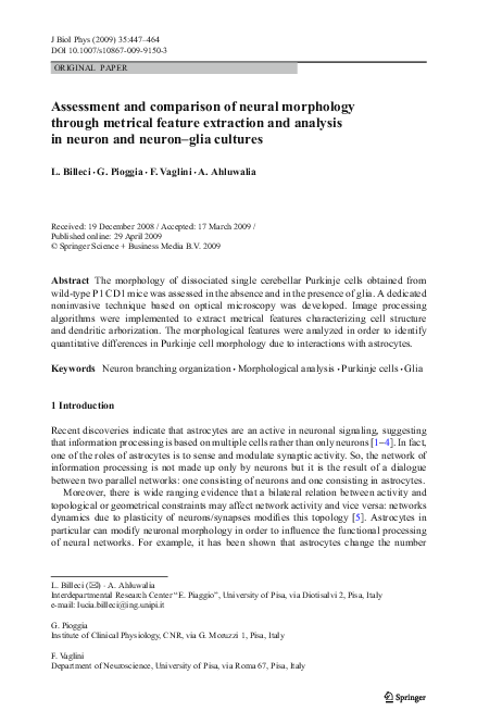 (PDF) Assessment and comparison of neural morphology through metrical feature extraction and ...