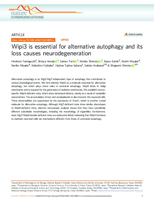 (PDF) Wipi3 is essential for alternative autophagy and its loss causes ...